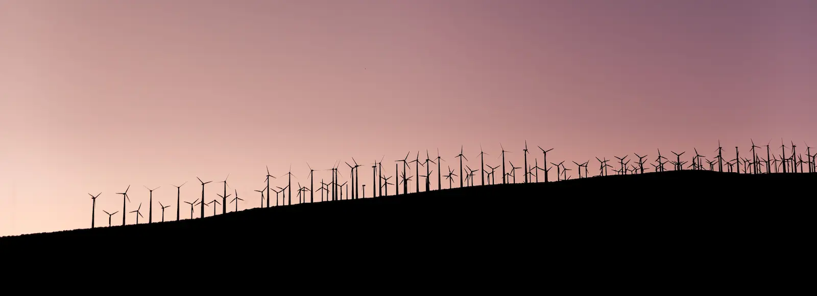 Leading Portugal’s Transition To Renewable Energy | Átomo